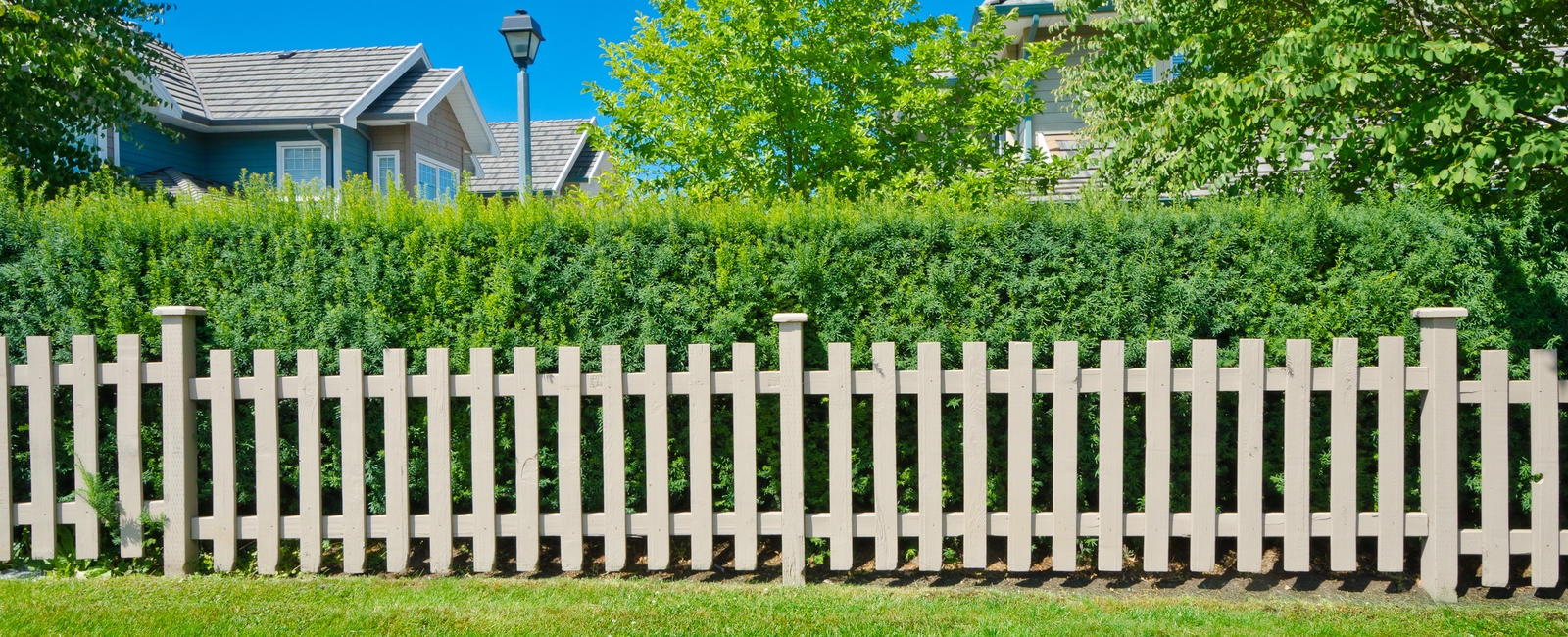 Quelles Sont les Différents Types de Clôtures